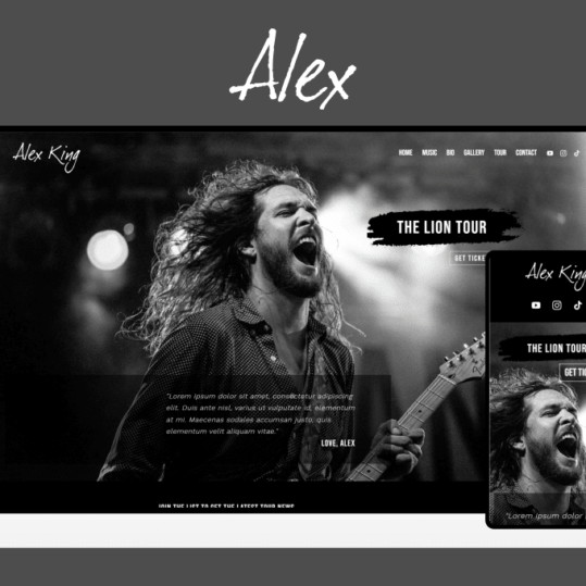 The French Meeting - Wix Website Template Design for Language Teachers ...